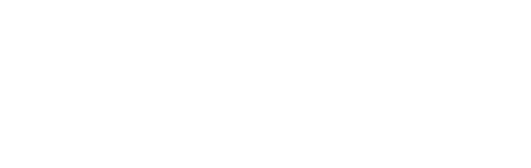 Mission, vision and values - Scottish Government Jobs
